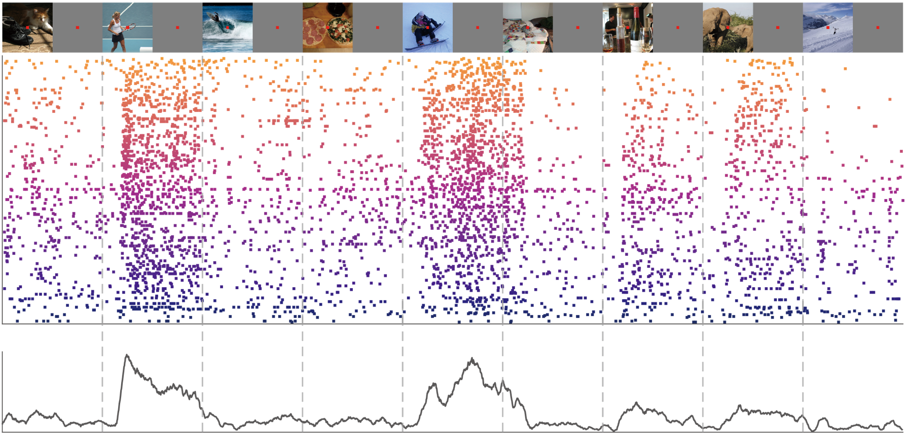 Triple-N Dataset Documentation